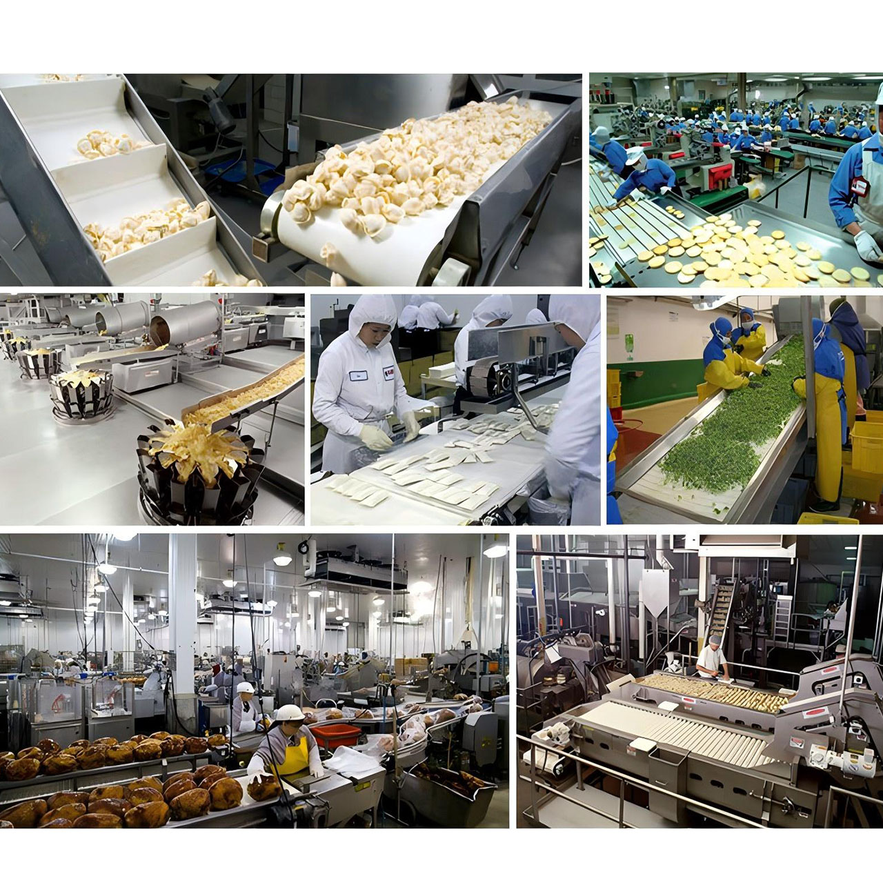 What is an Automatic Packer and How Can It Upgrade Your Packing Process ...