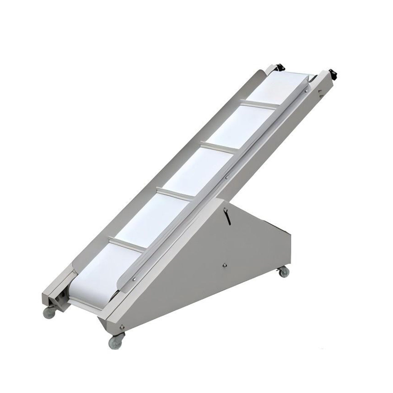 Finished Package Conveyor--BG Machinery